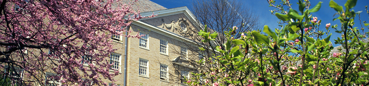 Banner-Warren Hall in Spring | Center for Teaching Innovation